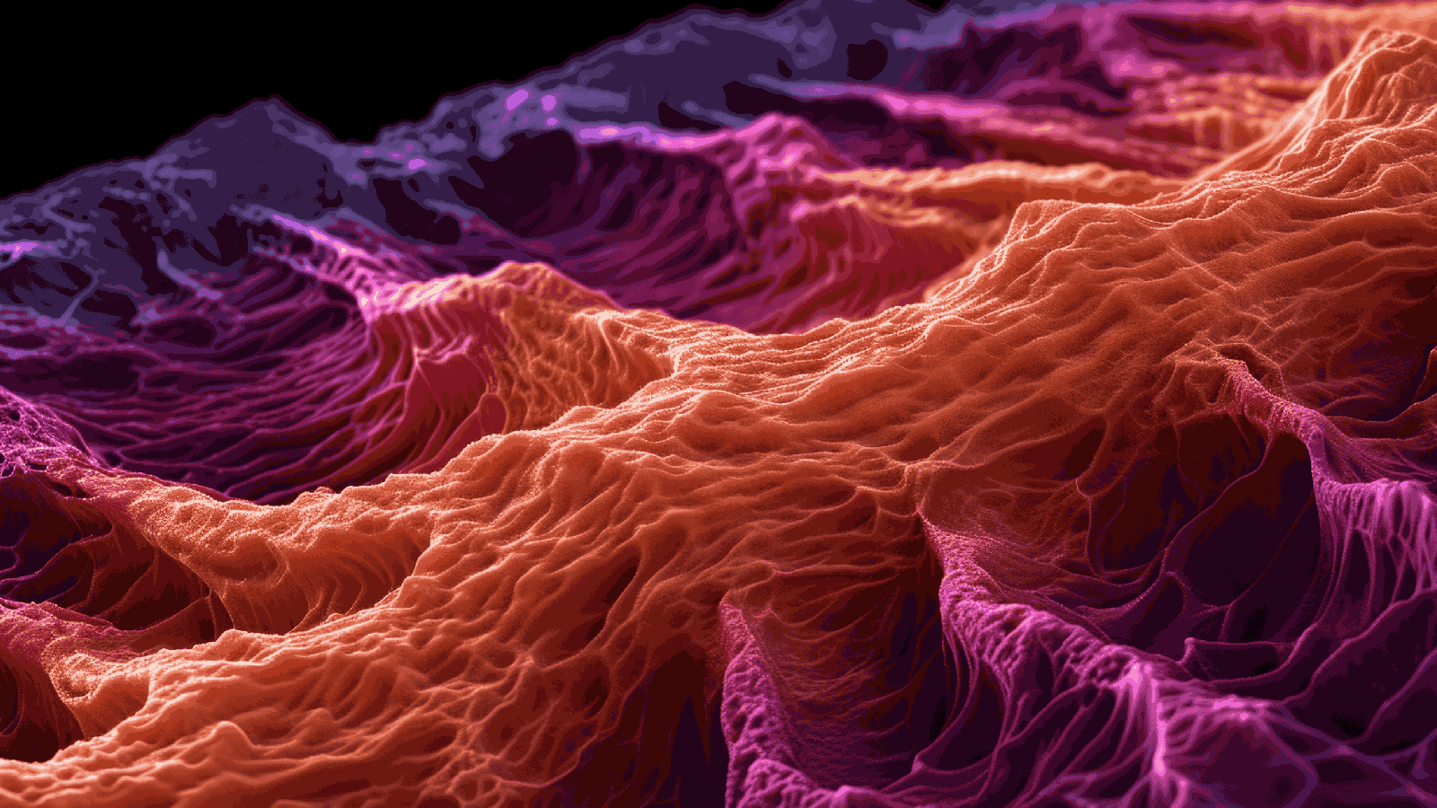 Potassium Blood Test: Understanding Normal & Optimal Levels – Keyspan